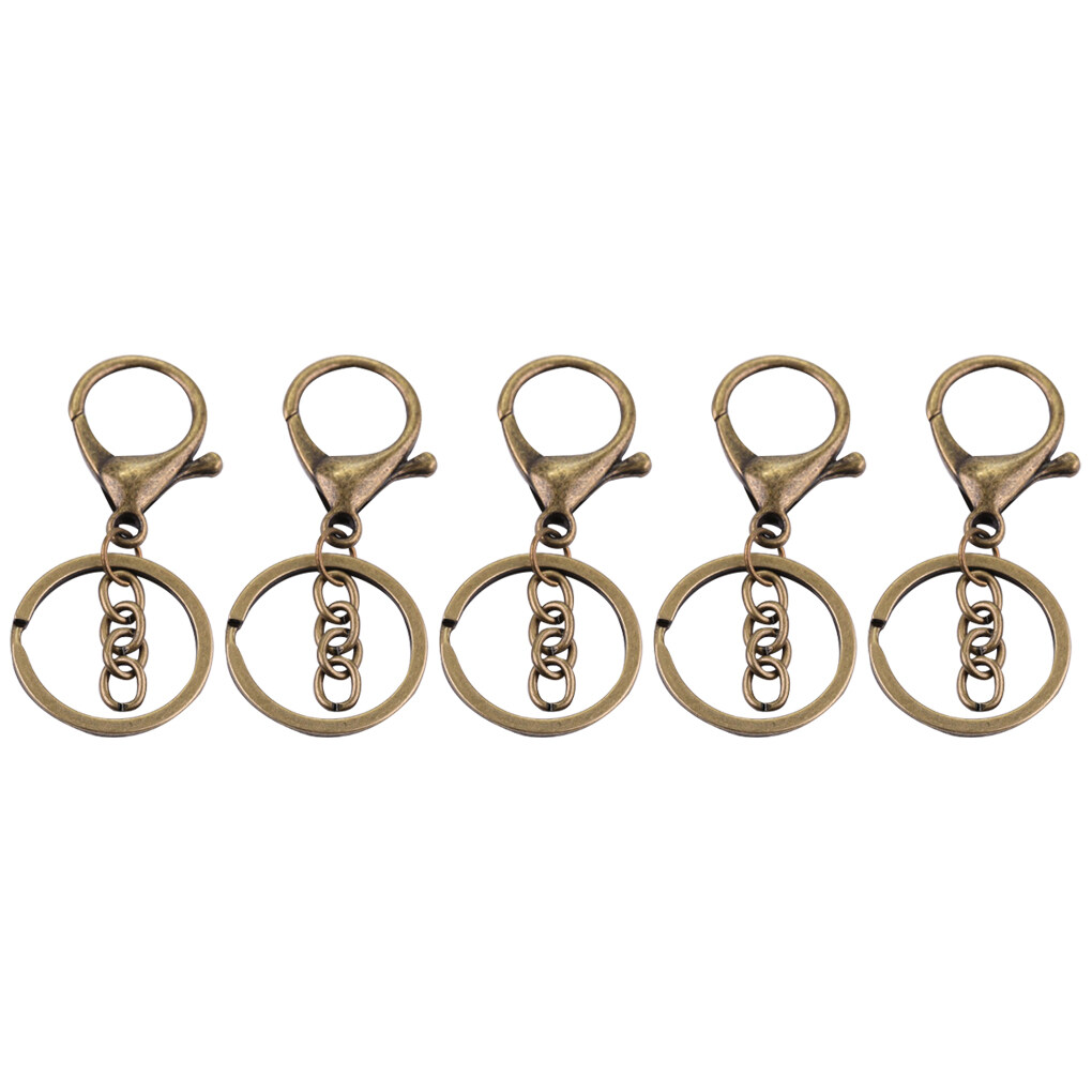 5pcs Keychain Buckle Keyring Metal Clasp Chain Key Holder Snap Hook ...