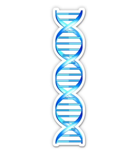 DNA Strand Double Helix Science Gemone - 12" Vinyl Sticker Waterproof ...