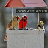 Infinity Bird Feeder - Wild Bird Feeder with 360 Degree View of Feeding ...