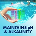 ARM & HAMMER Clear Balance Swimming Pool Alkalinity pH Maintenance ...