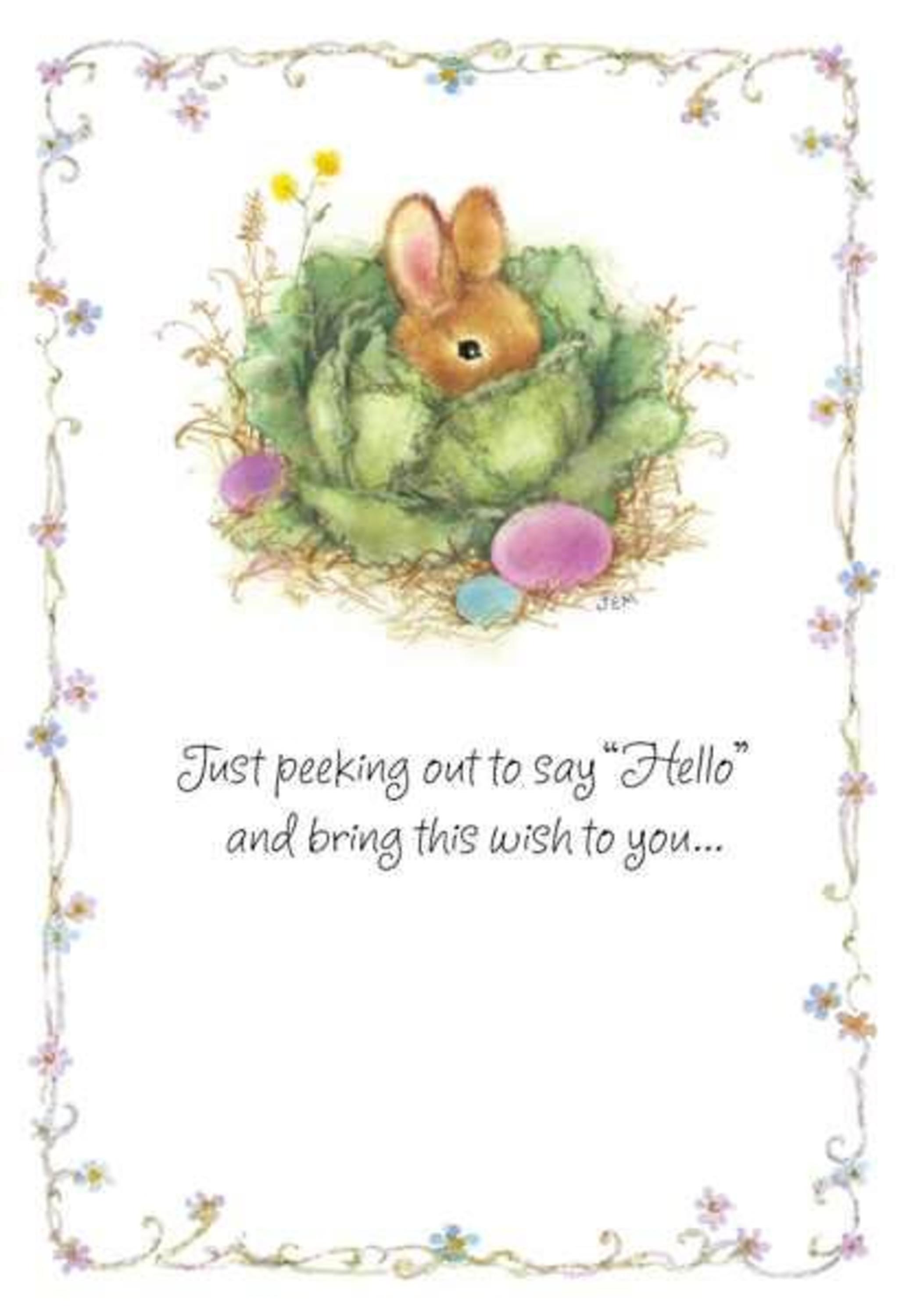 Hallmark Easter Cello Cards, Bunny Hiding in Cabbage – Walmart ...