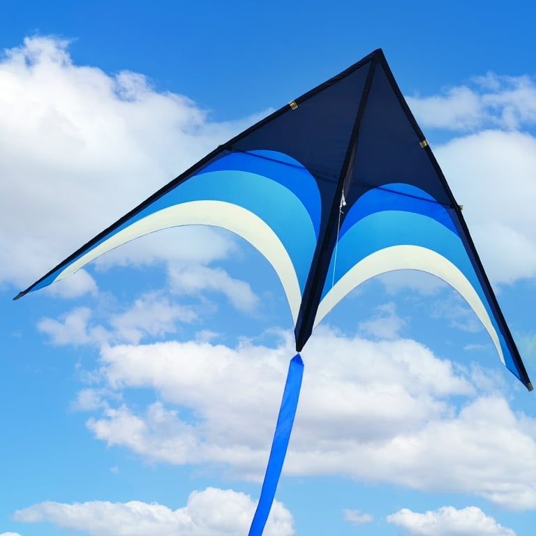 Giant Delta Kites