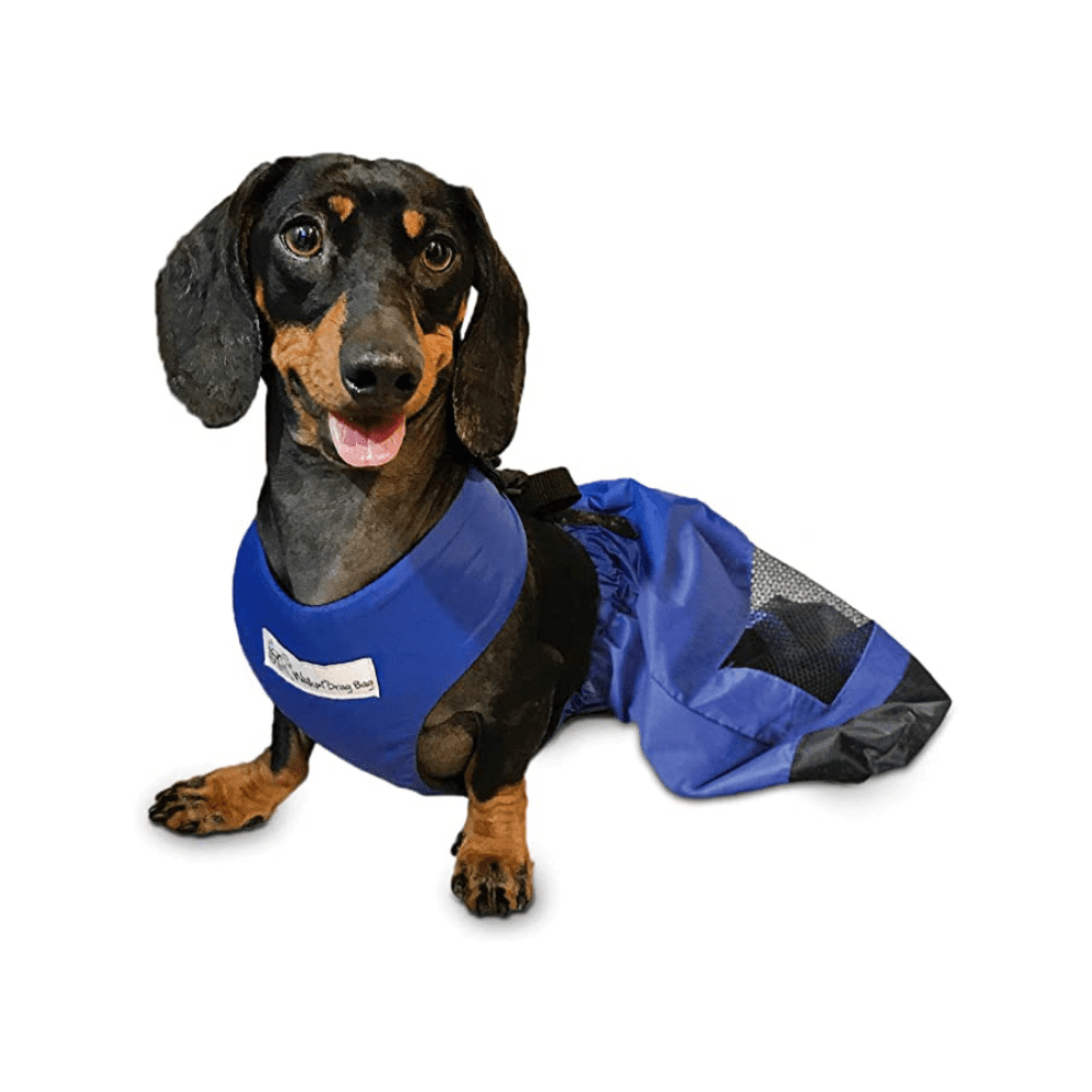 Walkin’ Pets Dog Drag Bag - Wheelchair Alternative - Protects Chest and ...