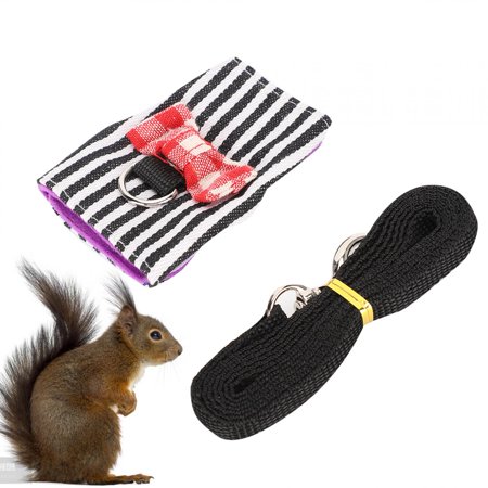 Hook& Designs Erret Traction Rope Squirrels Harness, Ferret Harness ...