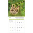 Carousel Calendars, Sloths 2025 Mini Wall Calendar - Walmart.com