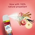 Glade Air Freshener Room Spray Apple Cinnamon 8.3 oz (Pack of 6 ...