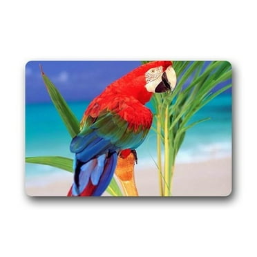 WinHome Butter My Biscuit Funny Doormat Floor Mats Rugs Outdoors/Indoor ...