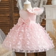 Ahdbta Baby Girls Tulle Dresses Bowknot Decor Single Sleeve Butterfly ...