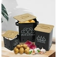 Kitchen Canisters Set, Storage Bin for Potato Onion & Garlic, 3 Pack ...