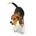 Cool Pup Mini Popsicle Hydrating Dog Chew Toy, Orange - Walmart.com