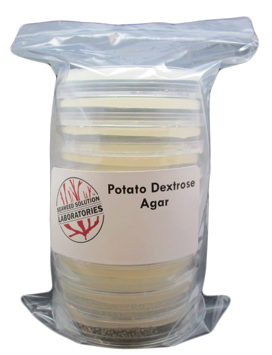 Potato Dextrose Agar PDA - Sterilized - 10, 100mm x 15mm Plates- Great ...