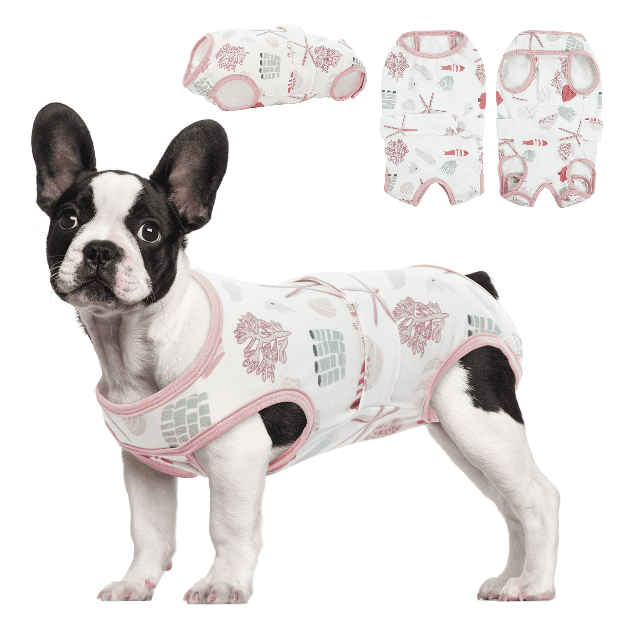 Fashion Merchandise Xqpetlihai Dog Onesie Dog Recovery Suit For Small Fashion Merchandise Xqpetlihai Dog Onesie Dog Recovery Suit For Small