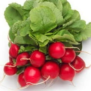 Watermelon Garden Seeds - Shiny Boy Hybrid (Treated) - 100 Seeds - Non ...