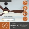 Long Grove 56 in. Black Deep Walnut Blades, Contemporary Ceiling Fan ...