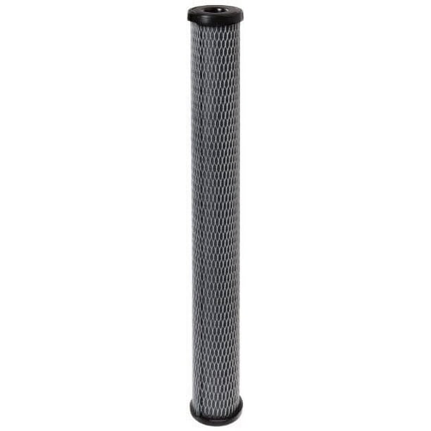 Pentair Pentek C1-20 Carbon Water Filter, 20-Inch, Whole House Dual ...