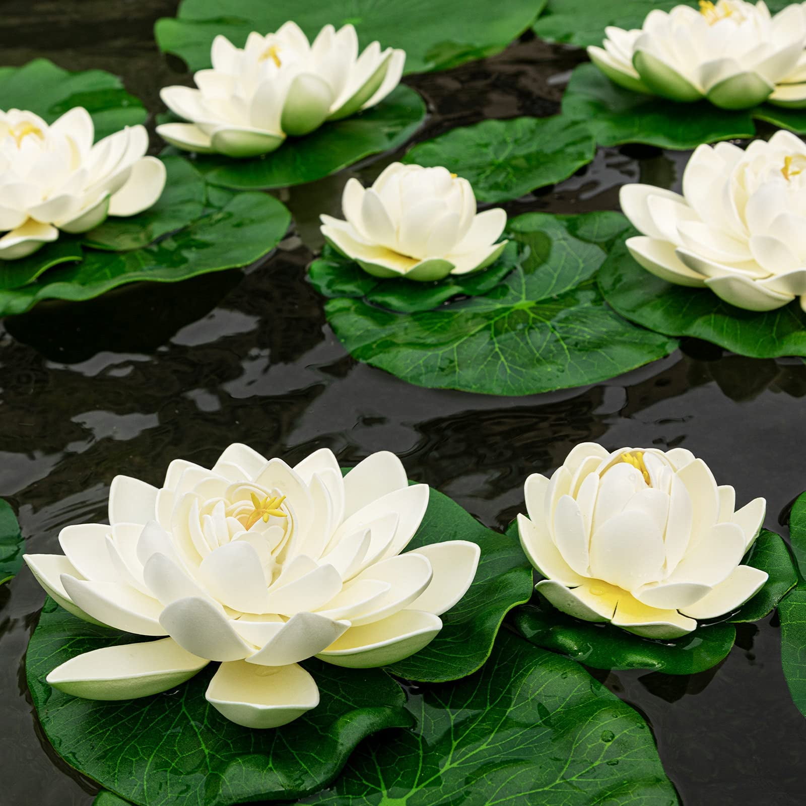 White Lotus Flowers In Water