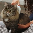 Flea Doctor Electronic Flea Comb for Dogs & Cats - Walmart.com