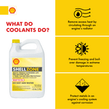 Shellzone Multi-Vehicle Antifreeze/Coolant, 50/50 Pre-Diluted, 1 Gallon ...