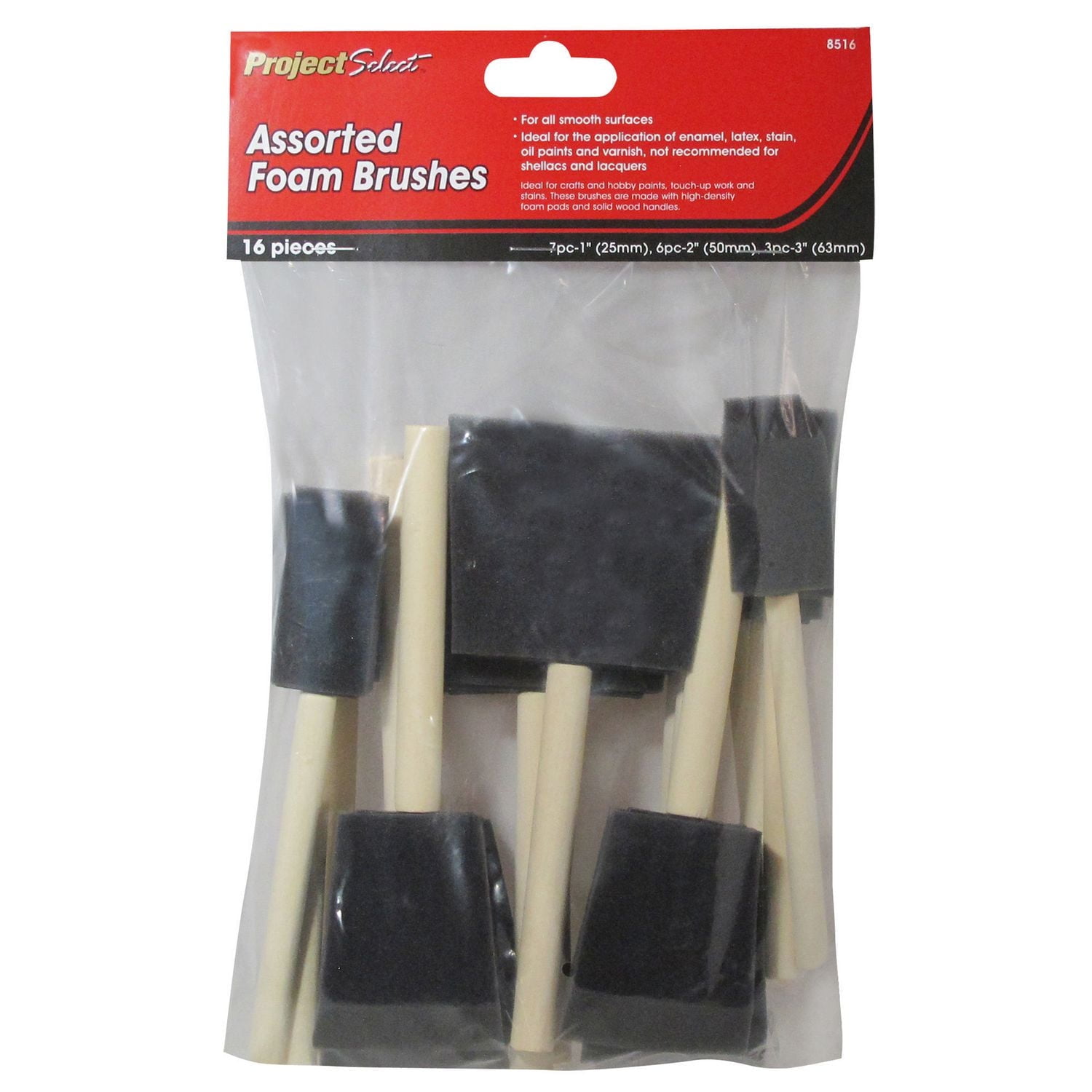 Click here for Project Select Assorted Foam Brushes prices