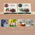 Incense Cones - Combo Pack of 20 Cone Incense - 10 Cedar + 10 Pine ...