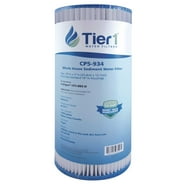 8 Big Blue Whole House Pleated Sediment Water Filters (5 Micron) 4.5" x ...