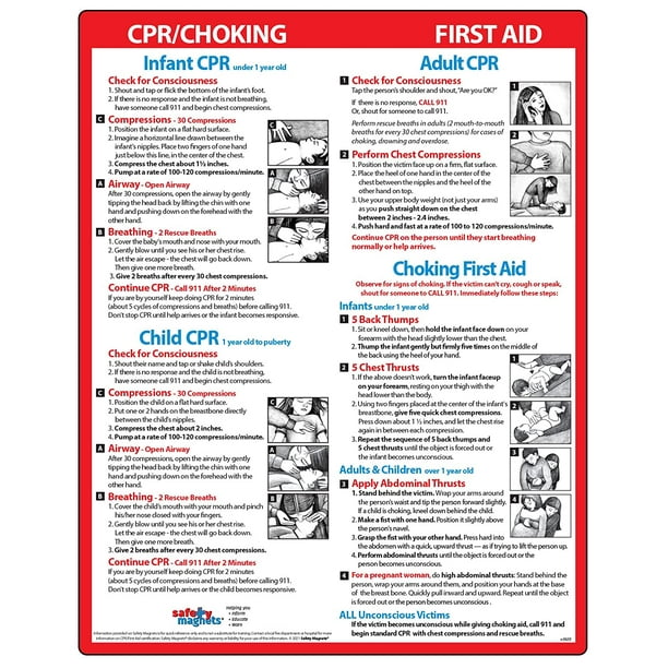 ZoCo: Safety Magnets Infant CPR and Choking First Aid Magnetic ...