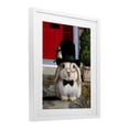 Stupell Industries Lord Bunbury Rabbit White Framed Print Under Glass ...