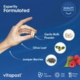 VitaPost Prostate Plus Vitamin Supplement - Zinc, Saw Palmetto, Pygeum ...