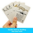 Smithsonian Dinosaur Playing Cards - Walmart.com
