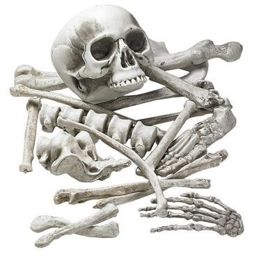 5 Foot Posable Skeleton - Large Outdoor Yard Decoration - Home Decor ...