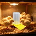 Automatic Water Feeder Quail Chick Poultry Small Drink Dispenser Cage ...