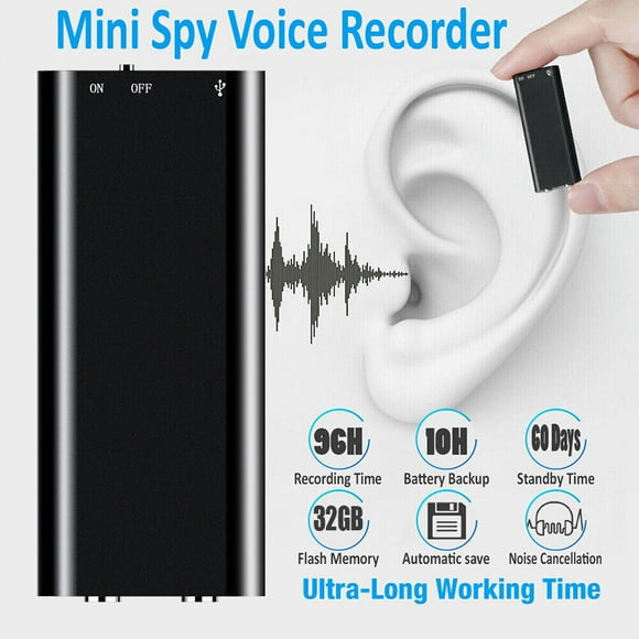 Mini Voice Recording