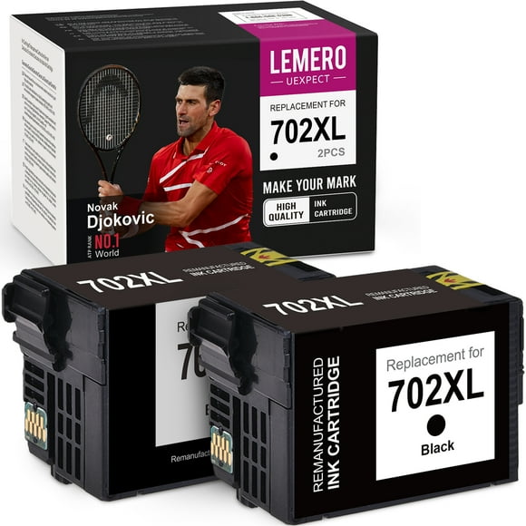 Epson 702 Ink Cartridges