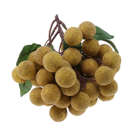 1 piece Artificial Fruits Longan for Display Fruits Vegetables Studio ...