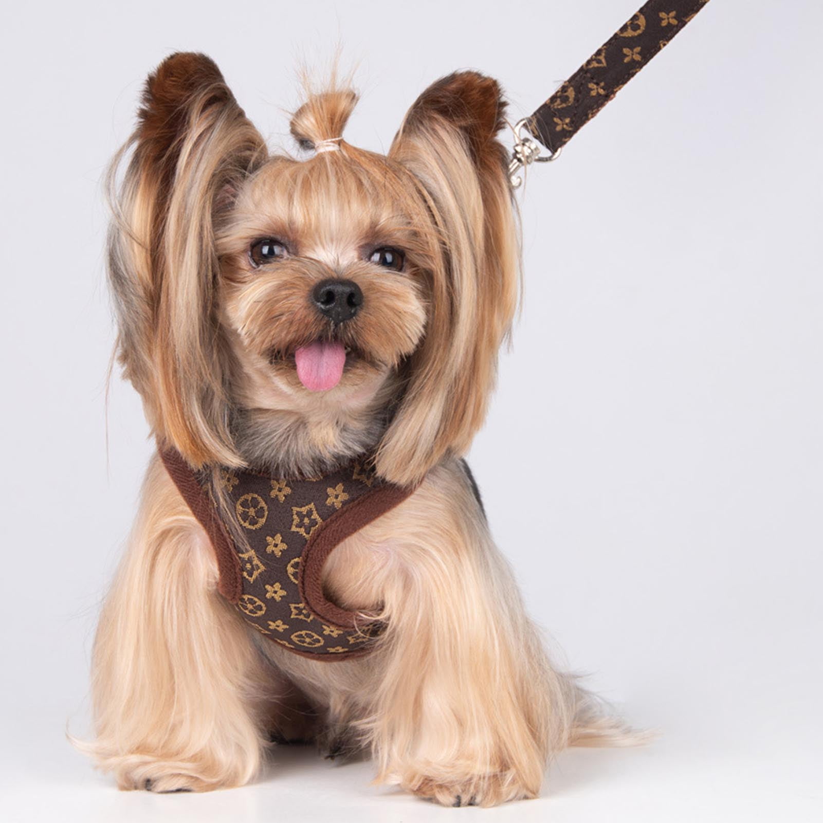 Click here for Dewin Pet Harness Leash Polyester Adjustable Breat... prices