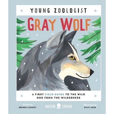Barbara Guth Worlds of Wonder Science Series for Young Reade: Southwest ...