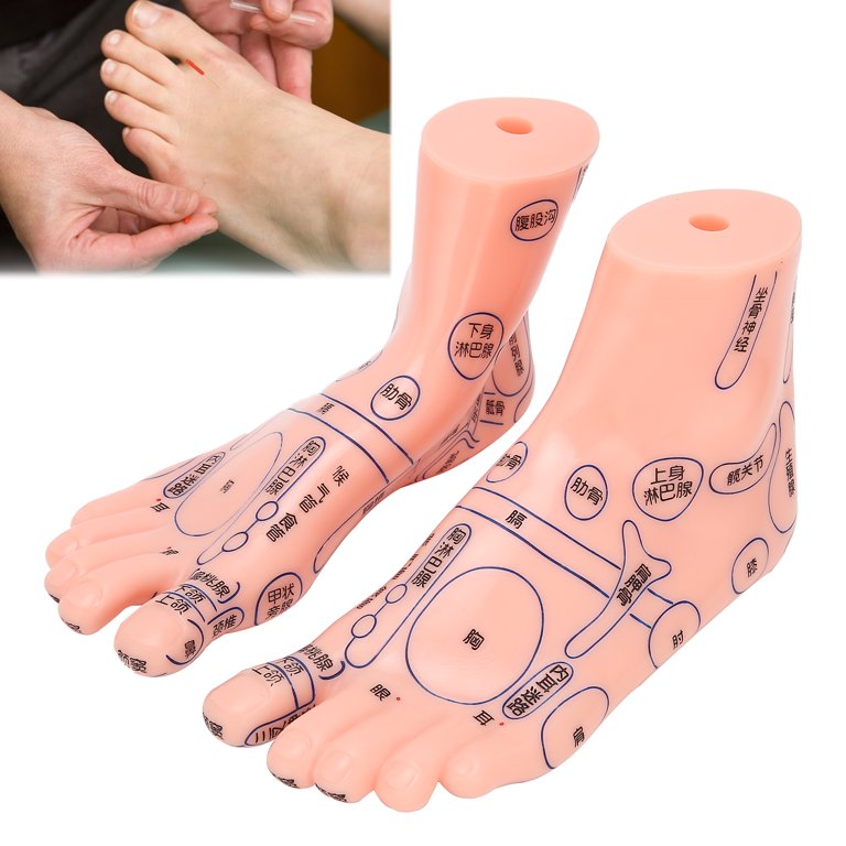 Acupuncture Points Top Of Foot | ppgbbe.intranet.biologia.ufrj.br