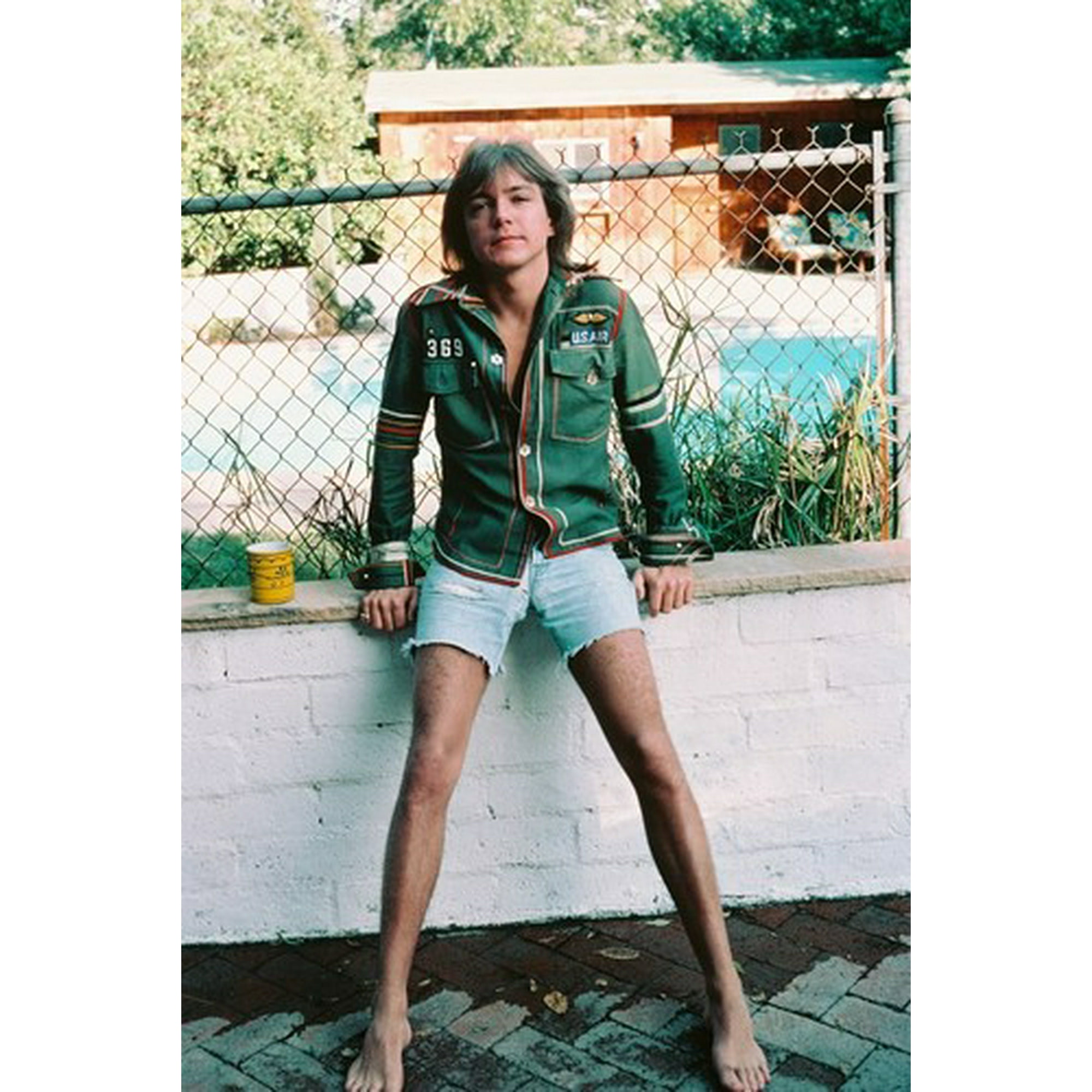 David Cassidy Poster