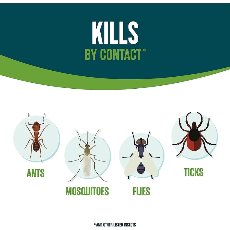 Killing Insects With Peppermint