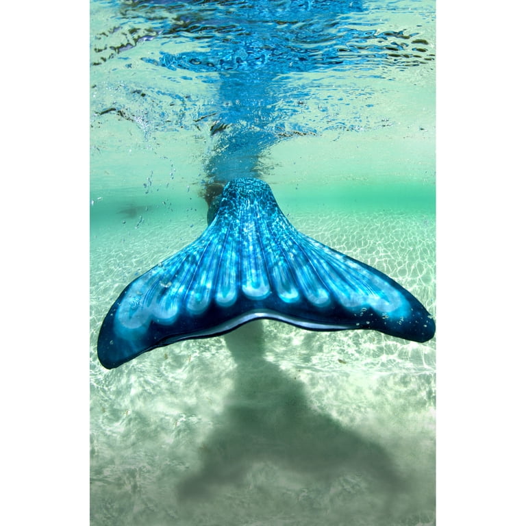 Mermaids Tail In Water Only