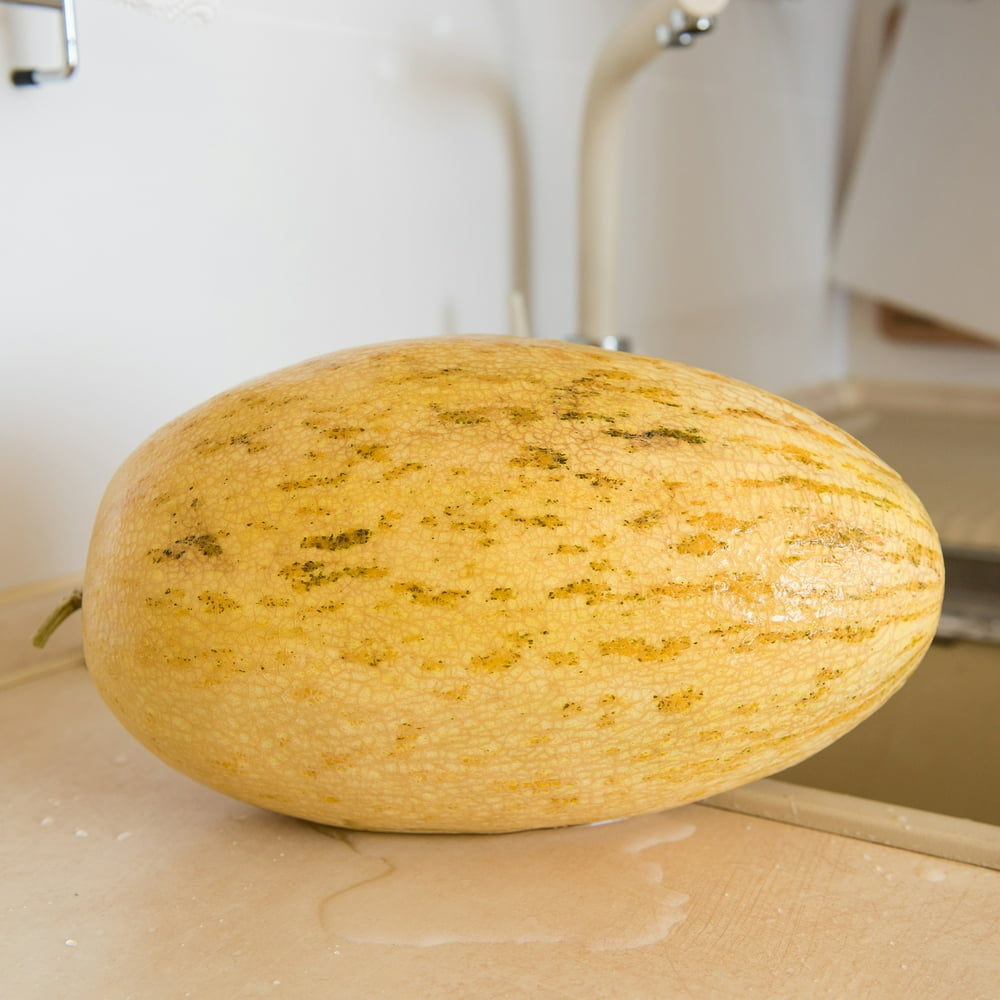 Melon Seeds - Banana - 4 g Packet ~120 Seeds - Cucumis melo - Farm ...