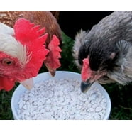 FlockLeader Shell & Bone Builder® for Chickens – All Natural Calcium ...
