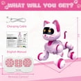 Remote Control Robot Cat, Intelligent Electronic Pet, Multi-Functional ...
