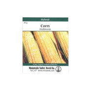 Multicolored Broom Corn Garden Seeds - 1 Lb - Non-GMO Vegetable ...