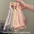 Aellinatey Womens Sweet Floral Lace Trim Cut Out Underwear Soft Mesh ...