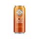 Sparkling Ice +Caffeine, Naturally Flavored with Antioxidants ...