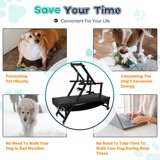 Syedee Dog Treadmill for Large Dogs, Dog Slatmill for Healthy & Fit Dog ...