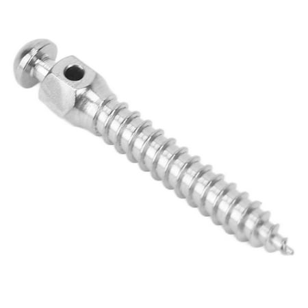 Orthodontic Micro Implants Screw, Safe Orthodontic Anchorage Screw ...