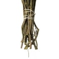 Vickerman 14-18" Oasis Green Stoebe Bundle, Preserved - Walmart.com