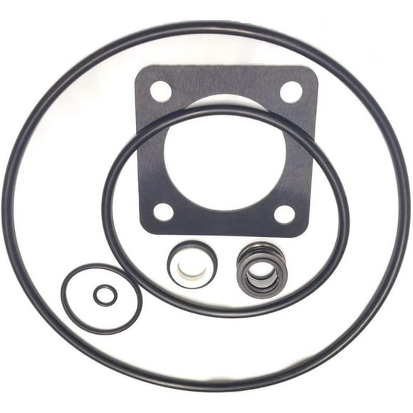 Sta Rite Pump Seal Kit